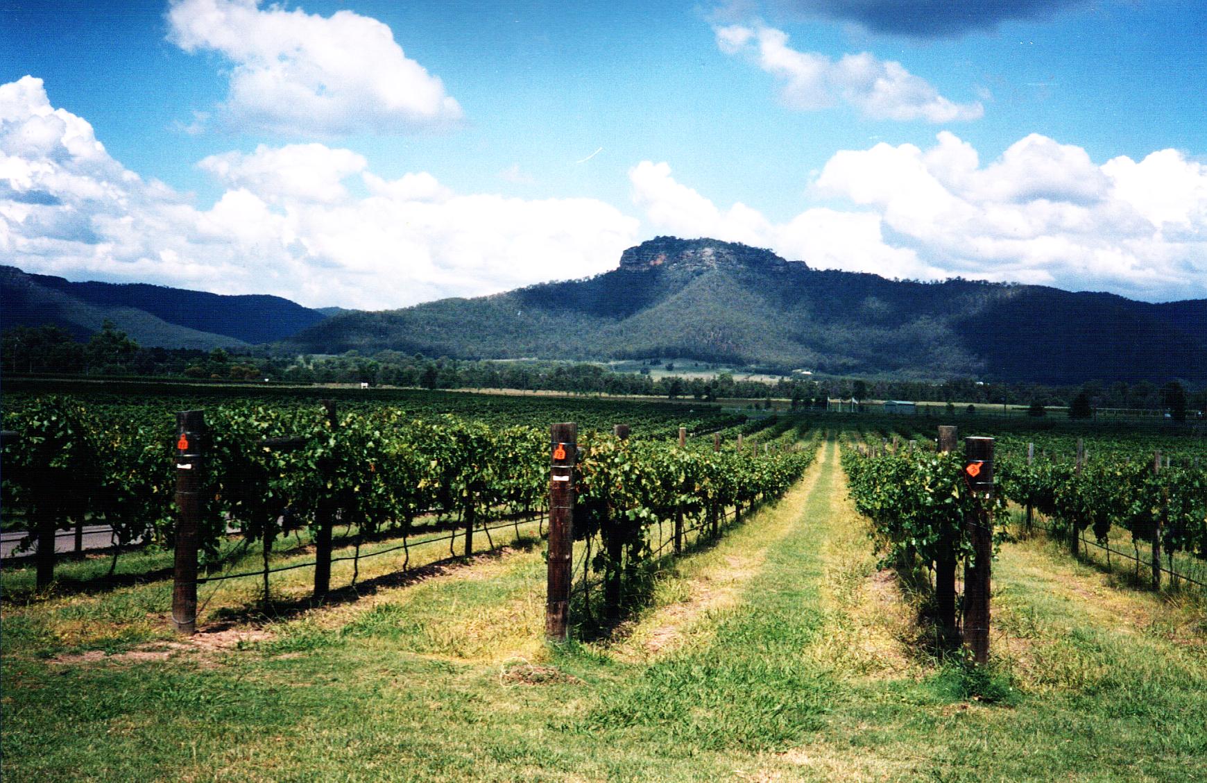 What’s the big attraction in Newcastle and the Hunter Region? - Hudson ...
